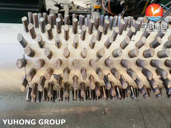 Quality ODM Stainless Steel Seamless Finned Pipe Aluminum Tubing ASTM A312 TP317L for sale