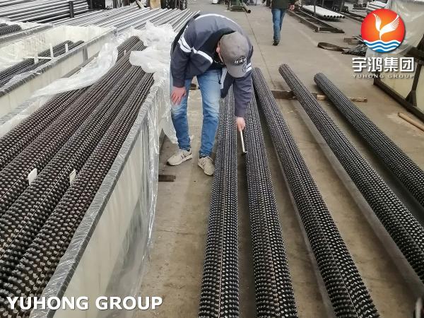 Quality ODM Stainless Steel Seamless Finned Pipe Aluminum Tubing ASTM A312 TP317L for sale
