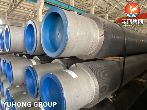 Quality TP304 SS304 Serrated Fin Tube Air Cooler Stainless Steel ASTM A240 for sale