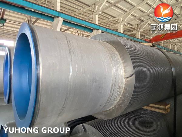 Quality TP304 SS304 Serrated Fin Tube Air Cooler Stainless Steel ASTM A240 for sale