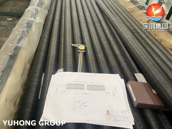 Quality TP316L Stainless Steel Seamless G Type Finned Tube Micro Coil ASTM A213 Oil for sale