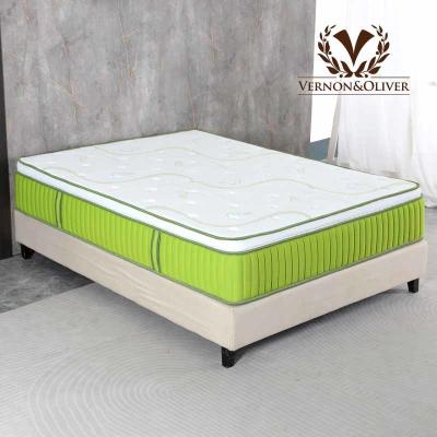 China Biorhythm Knitted Fabric Compressible Foam Mattress Adjustable 12 Inch for sale