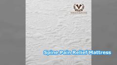 10 Inch Memory Foam Mattress Spine Support