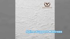 10 Inch Memory Foam Mattress Spine Support