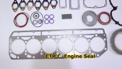 CTP C. Excavator Gasket Kit 6 0