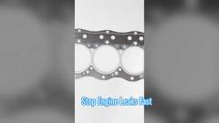 Mitsubishi 6D16 Cylinder Head Gasket ME030913 Repair Solution