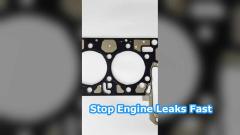 X12 Head Gasket Kit 4376123 Premium Engine Repair Solution