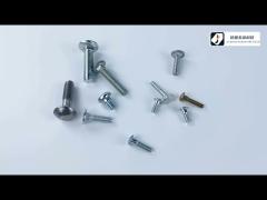 m5 304 ss a2-70 metal bolt carriage bolt passivated round head square neck