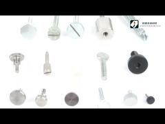 ss316 m6 thumb metal screw marine equipment electropolished precision fastener hardwarecity
