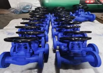 China Manual Gate Valve Single Wedge DN10-DN50 API ANSI DIN for sale