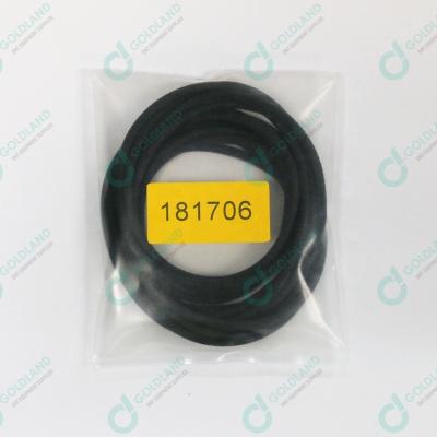 Cina Stampatore Belt dello schermo del DEK di Parts della stampante dello schermo di Parts Original 181706 SMT della stampante dello schermo di SMT in vendita
