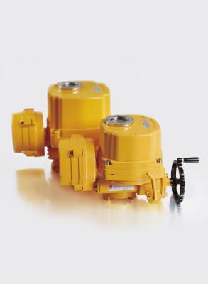 Cina Anti- fuori dall'azionatore di modulazione elettrico di Bolt con la polvere del poliestere che ricopre Shell in vendita