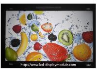 China IPS EDP Interface TFT LCD Module 15.6 Inch Resolution 1920x1080 for sale