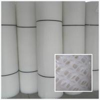 China extruded plastic net mesh/extruded polypropylene mesh for sale