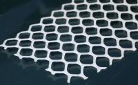 China extruded plastic net mesh/extruded polypropylene mesh for sale