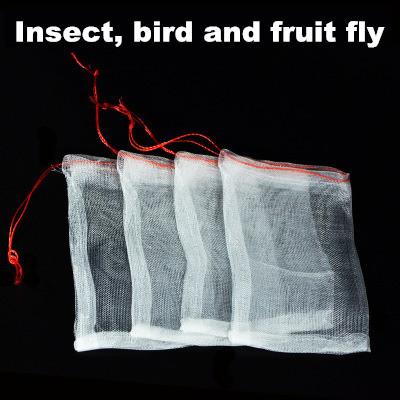 China Nylon insect-proof net bag fruit bag bag nylon seed bag soaking bag filter pitaya fruit-fly-proof bird-proof bag for sale