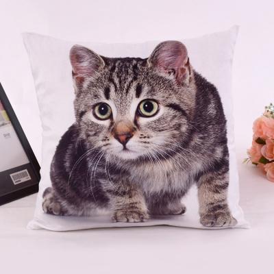 China Home Textile Products  sofa pattern Luxury Custom Digital Printed Cute Cat Cushion For Home Decor for sale