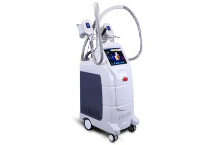 China Freeze Your Fat Off Cryotherapy Weight Loss Vacuum Cavitation Machine for sale