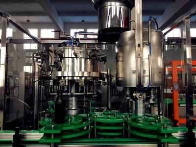 Cina L'abitudine 2 in 1 birra di Monoblock ha carbonatato la macchina di rifornimento della bevanda per la bottiglia di vetro in vendita