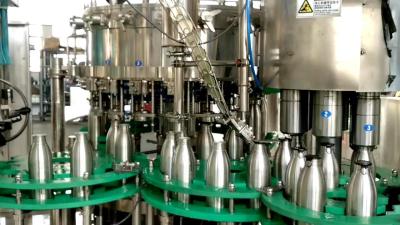 Cina 3 in 1 birra/hanno carbonatato la macchina di rifornimento della bevanda per la bottiglia 220V/380V quadro/tonda in vendita