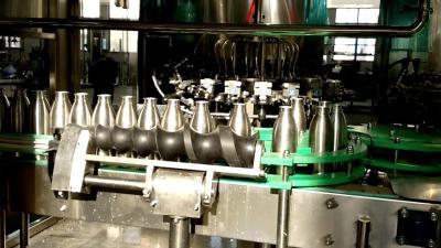 Cina 2 in 1 imbottigliatrice di vetro/del vino che risciacqua tappatrice di riempimento 220V/380V in vendita