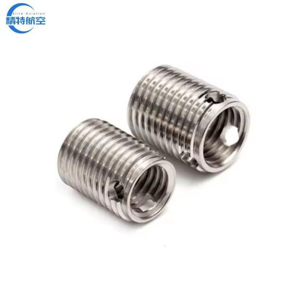 Quality 304 307 308 Steel Thread Insert Hardware Screw Self Tapping Thread Fasteners for sale