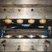 China WX Plastic Thermoforming Machine 660x350mm Forming Area CE Certified 5000kg for sale