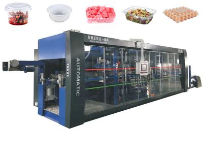 China Máquina de termoformado de bandejas de plástico totalmente automática de 710 mm de longitud para recipientes de plástico desechables en venta