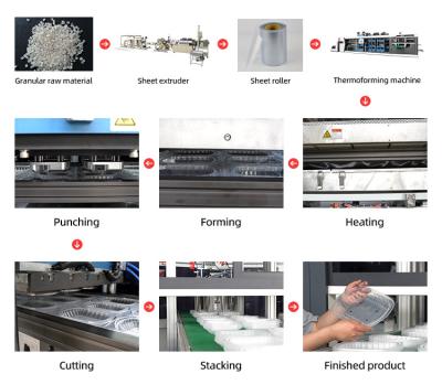 Cina Macchina di termoformatura automatica della scatola da pranzo usa e getta in vendita
