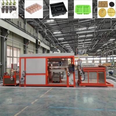 China Máquinas para moldear con vacío de plástico totalmente automáticas en venta