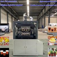 China WX Plastic Thermoforming Machine 730x420mm Forming Area 15KW Heating Power Disposable Cup Making Machine for sale