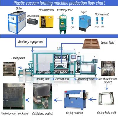 China Fully automatic Seedling Tray Plastic Vacuum forming Machine for sale