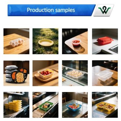 China Fully Automatic plastic food container making machine for sale