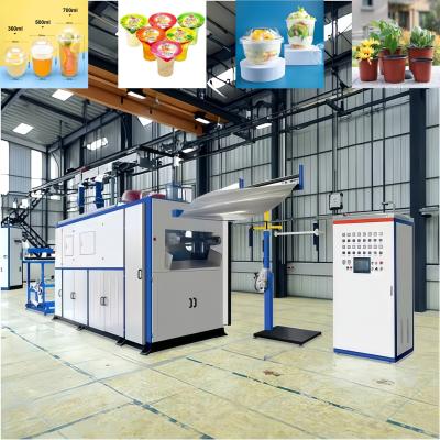 中国 全自動中古プラスチックカップ製造機、低コスト 販売のため