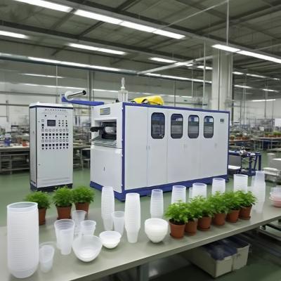 China PLC Controlled Plastic Thermoforming Machine for Disposable Cups for sale