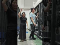 Máquina de termoformado de cajas de frutas PET totalmente automática