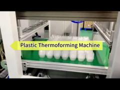 Machine de thermoformage de boîtes à fruits en PP entièrement automatique