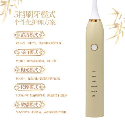 Cina Spazzolino a batteria sonora senza fili per adulti IPX7 Spazzolino elettrico impermeabile in vendita
