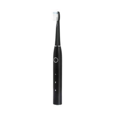 Cina RoHS Sonic Toothbrush elettrico ricaricabile IPX7 500mAh impermeabile in vendita
