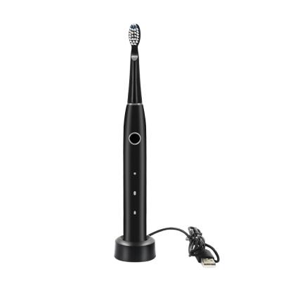 Cina RoHS Sonic Toothbrush elettrico ricaricabile IPX7 500mAh impermeabile in vendita