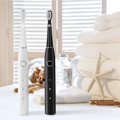 Cina SCCP Sonic Toothbrush Ultralight elettrico ricaricabile IPX7 impermeabile in vendita