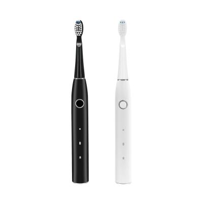 Cina SCCP Sonic Toothbrush Ultralight elettrico ricaricabile IPX7 impermeabile in vendita