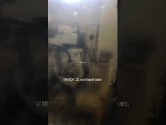 運転駆動型コーンギアセット 1-3 モジュール 7速自転車用