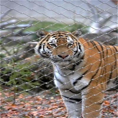 China Flexible Stainless Steel X-Tend Ferrule Rope Zoo Mesh For Tiger for sale
