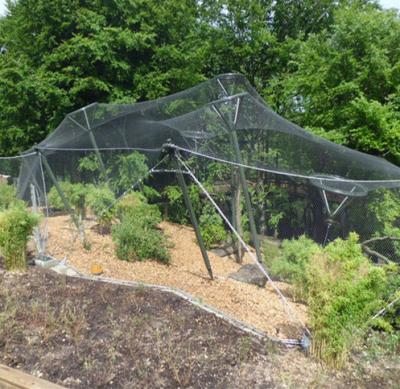 China Flexible Stainless Steel X-Tend Zoo Mesh/Bird Netting//Aviary Mesh for sale