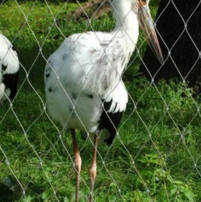 China Flexible X-Tend Zoo Mesh/Stainless Steel Bird Netting//Aviary Mesh for sale