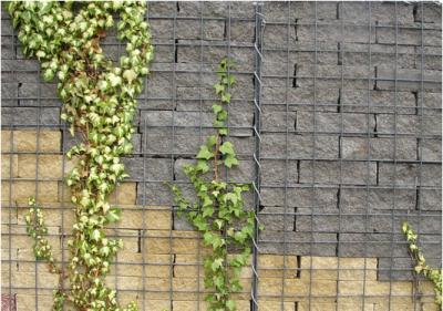 China 80*100mm Standard Galvanized Welded Gabion/Gabion Basket For Garden for sale