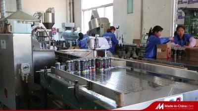 China Low Odor Antiseptic Acrylic Spray Paint for Versatile Substrates Including Wood and Masonry for sale