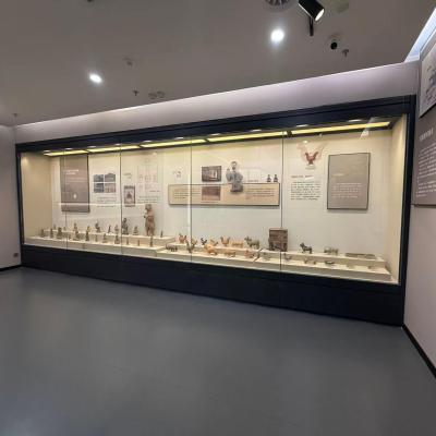China Large Presentation Wall Case with Electric Glide Climate Control Wall-fixed Or Recess for sale