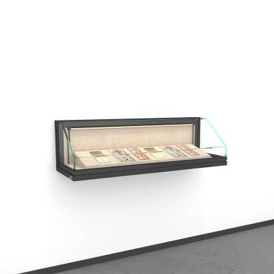 China Custom Hanging Wall Mounted Display Cabinet Modern Style Powder Coating Finish for sale